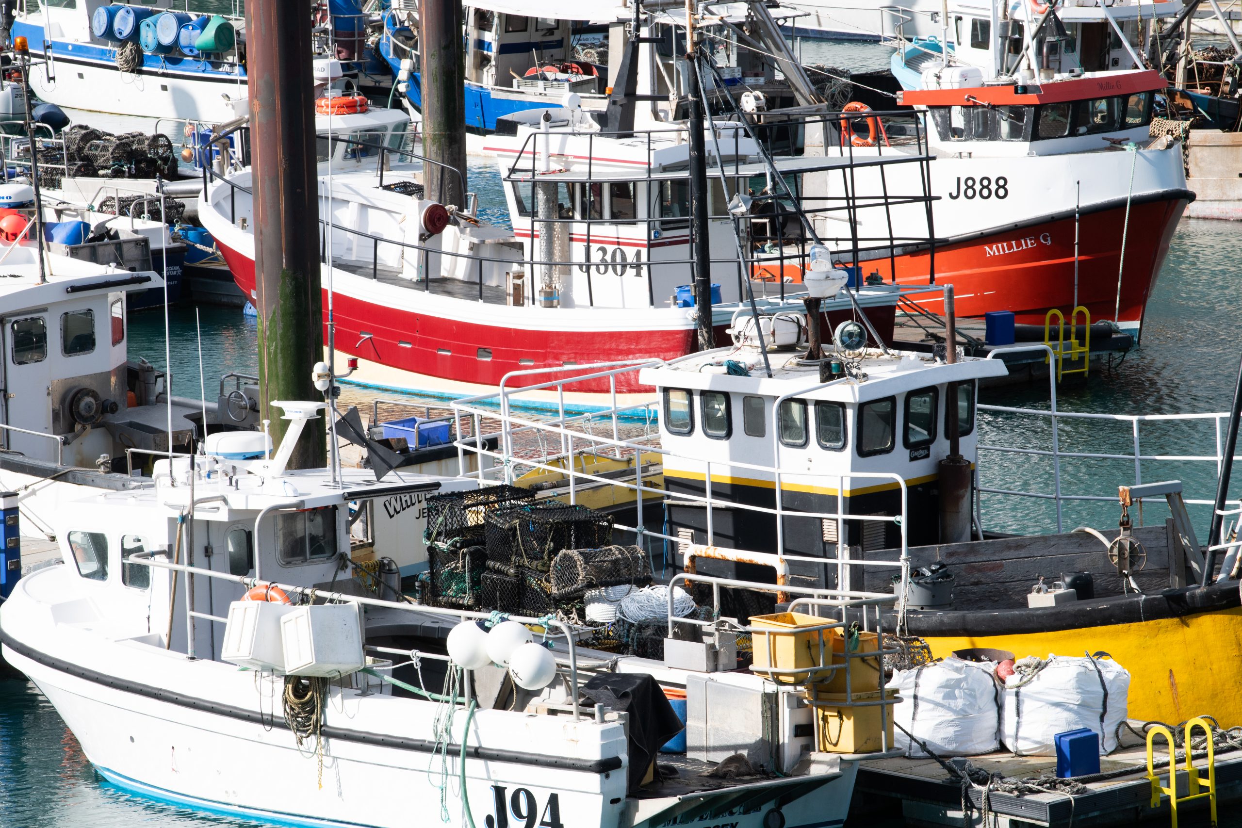Jersey loses "string to its bow" with collapse of whelk fishing industry - Jersey Evening Post