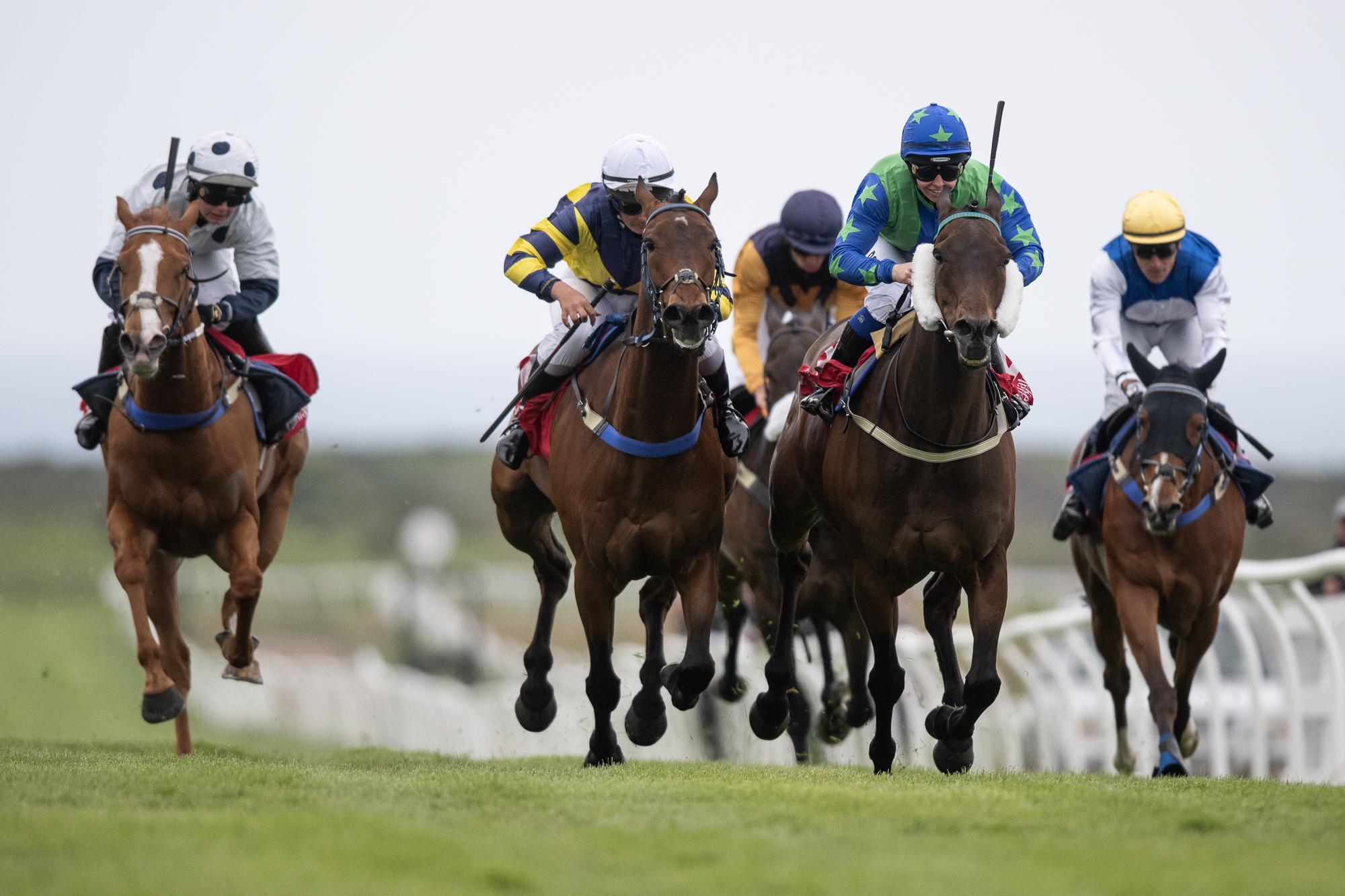 It’s Just Jersey and it’s a winner - Jersey Evening Post